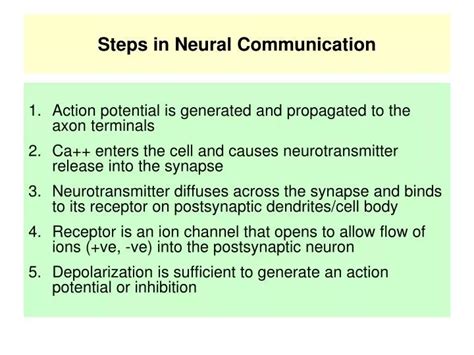 Ppt Steps In Neural Communication Powerpoint Presentation Id1452538
