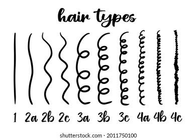 462 Curl Pattern Chart Images Stock Photos Vectors Shutterstock