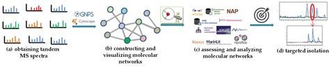 Molecules Free Full Text Msms Based Molecular Networking An