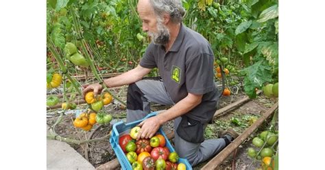 При органичните оранжерийни зеленчуци изглежда има проблем с веригата Български Фермер