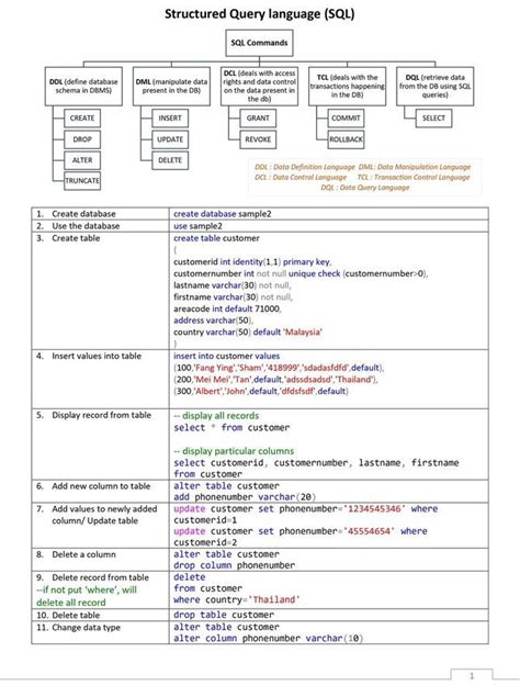 Datascience Newtonschool Learningjourney Advancedexcel Sql