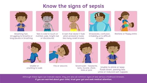 Signs And Symptoms Of Sepsis
