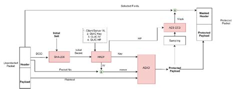 Looking Into Quic Packets In Your Network