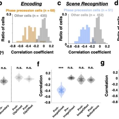 Anatomical Distribution Of Phase Precession Neurons And Their