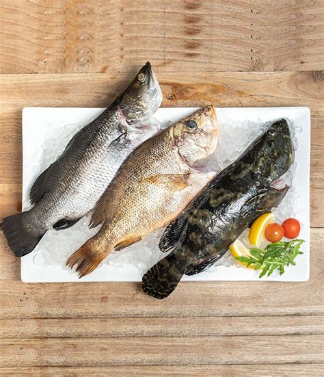 Red Snapper Fillet Organic Farm Straits Market Singapore