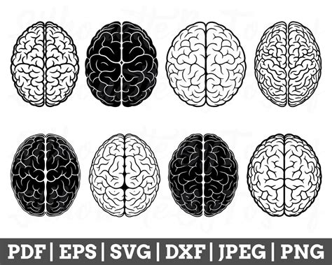 Brain Svg Brain Cut File Brain Silhouette Brain Outline Brain