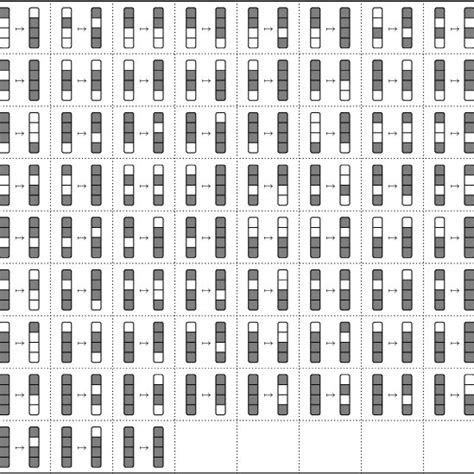The Column Wise Active State Transitions For Class Ii Matrices