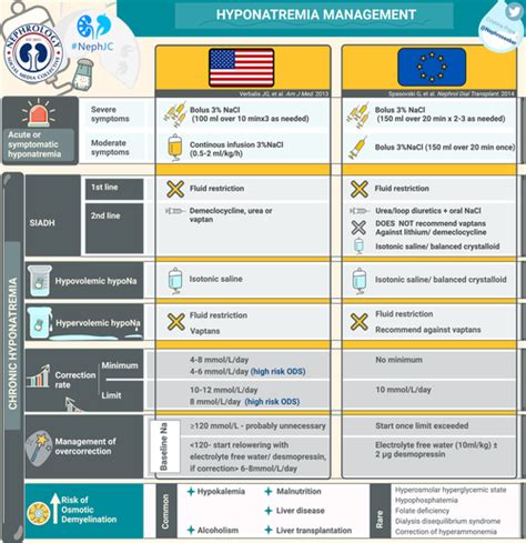 Standing Corrected New Examination Of The Rate Of Correcting Hyponatremia — Nephjc