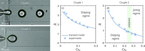 comparison between transient simulations green lines and experimental