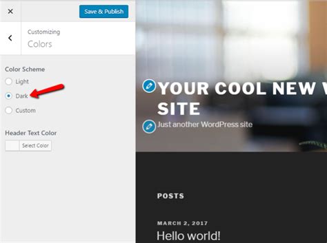How To Install And Setup A WordPress Theme Complete Guide For