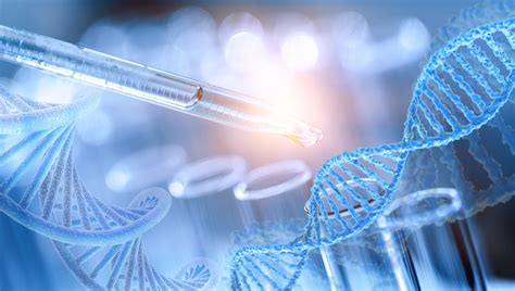 Se Former à La Bio Informatique Réponses à Quatre Questions Sur Ce Métier En Pleine Expansion