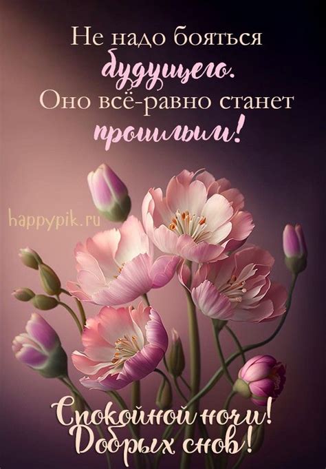 Красивые картинки Спокойной ночи 🌠🌙 172 шт в 2023 г Спокойной ночи Ночь Веселые открытки