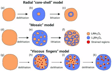 Kinetic Models Of Lithiationdelithiation A C Radial Core Shell