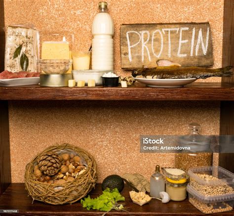 건강 한 단백질 소스 및 바디 빌딩 식품의 구색 고기 생선 닭고기 미트볼 달걀 유제품 치즈 요구르트 아보카도 콩 견과류 귀리