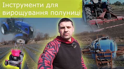 Цикл вирощування полуниці на плівці Яке необхідне обладнання для вирощування полуниці Youtube