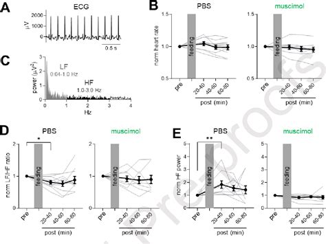 Figure 3 From The Posterior Insular Cortex Is Necessary For Feeding