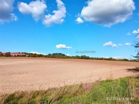 Парцели за продажба в с Леденик Земеделска земя 12000 кв м Не е посочено Земеделска зем