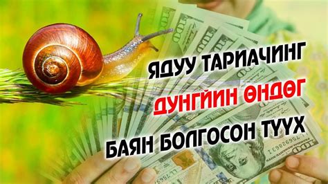 ЯДУУ ТАРИАЧИН ЖАНГ ДУНГЙИН ӨНДӨГ БАЯН БОЛГОСОН ТҮҮХ Youtube
