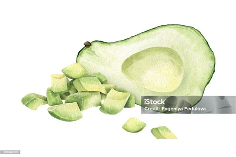 씨 없는 아보카도를 얇게 썰어 깍둑썰기한 조각 고립된 손으로 그린 수채화 음식 비건 야채의 음식 그림 메뉴용 클립아트 식품 및 화장품 포장 직물 카드 레시피 건강한 식생활에