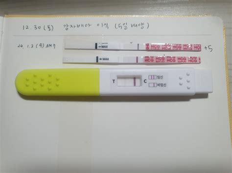 시험관 2차 5일배양 6일차7일차8일차 임테기 진하기 이식후 증상임신 극초기 5일배아 감자배아 네이버 블로그