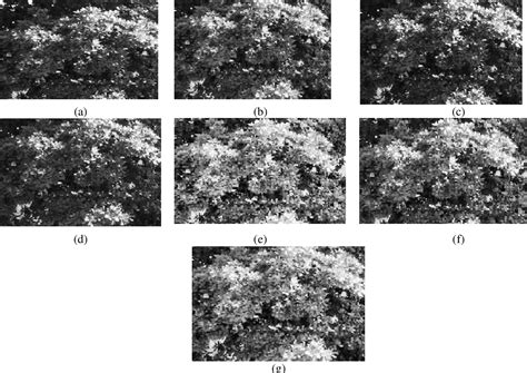 Figure 1 From Adaptive Clip Limit Tile Size Histogram Equalization For