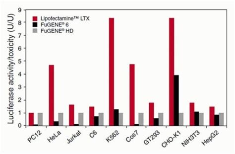 Lipofectamine™ Ltx Reagent With Plus™ Reagent