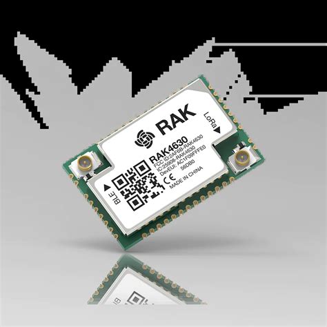 Rak4630 Lorawan® And Bluetooth® Module Rak4630 Lorawan® And Bluetooth® Module