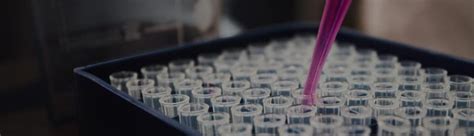 Implementing Privacy Controls For Genomics Immuta Steven Wastie