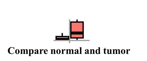 Roc Plotter Online Roc Analysis