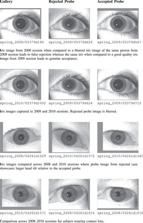 Illustrating Cross Session Iris Comparisons For The Download Scientific Diagram