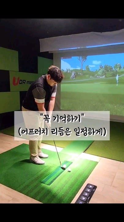 어프러치 리듬만 기억하면 절대 실수 없이 잘할 수 있다 정현중프로 어프러치 골프 기본기 기초 칩샷 Shorts