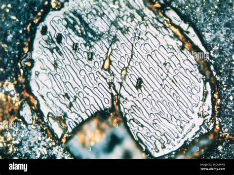 Meteorite Section Polarised Light Micrograph Of A Section Through A Chondrule From A Stony