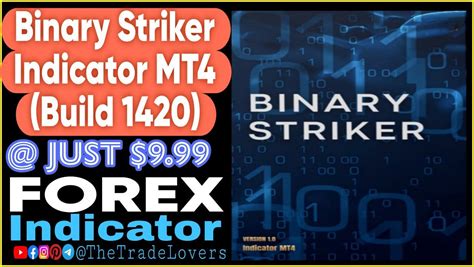 Binary Striker Indicator Mt4 Works On Build 1420 Forex Mt4 Indicators