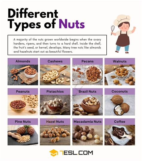 Different Types Of Nuts With Useful Facts And Pictures 7ESL Healthy