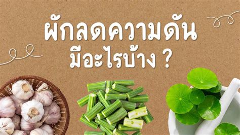 ผักลดความดัน สำหรับผู้มีอาการโรคความดันโลหิตสูง