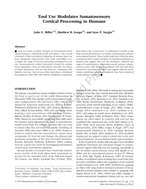 Pdf Tool Use Modulates Somatosensory Cortical Processing In Humans