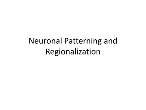 Ppt Neuronal Patterning And Regionalization Powerpoint Presentation Free Download Id3310745