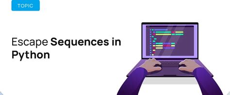 🪓 Breaking The Admin Panel How Escape Characters Lead To Dos Application Level Impacted By