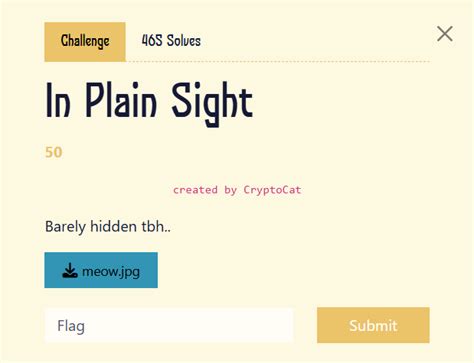 In Plain Sight Warmup—1337up Live Ctf 2024 Writeup By Hiruna