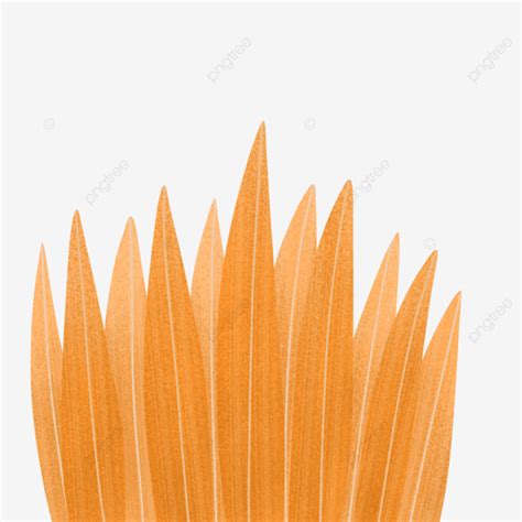 Leaf Grass Plant Grass Plant Leaf PNG Transparent Clipart Image And PSD File For Free Download