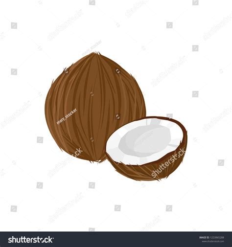 57 796 Imágenes De Leche De Coco Animada Imágenes Fotos Y Vectores De Stock Shutterstock