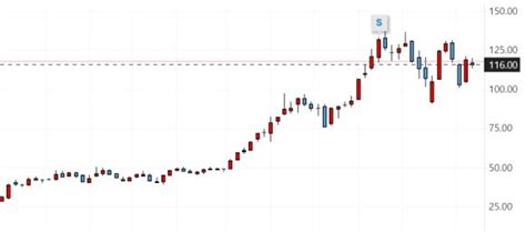 금리인하 시기에 시장을 이끄는 주도주