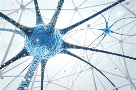 exploring the neural networks unlocking the power of the human mind
