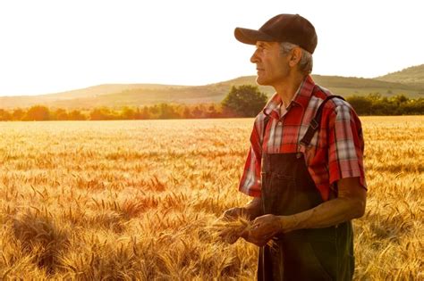 transform agriculture with tuba ai devisionx posted on the topic