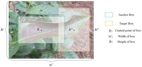 Plants Free Full Text Detection Model Of Tea Disease Severity Under
