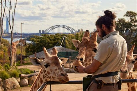 Cameron Kerr Ao On Linkedin Today We Celebrate One Of The Most Important Days Of The Year