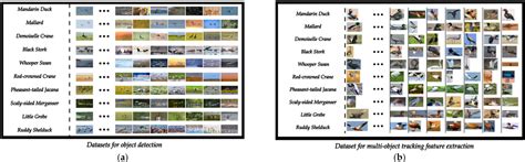 Figure 1 From An Efficient Method For Monitoring Birds Based On Object Detection And Multi