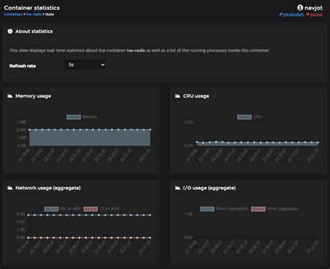 Nginx Proxy Manager Portainer Template