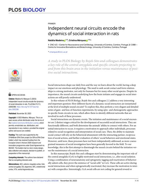 Pdf Independent Neural Circuits Encode The Dynamics Of Social Interaction In Rats