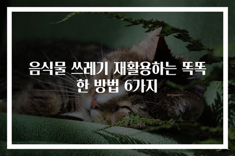 음식물 쓰레기 재활용하는 똑똑한 방법 6가지 원클릭 정보